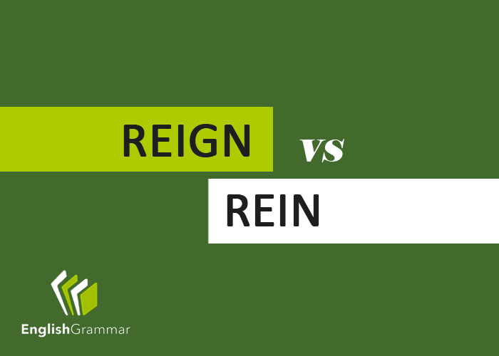 Reign vs. Rein
