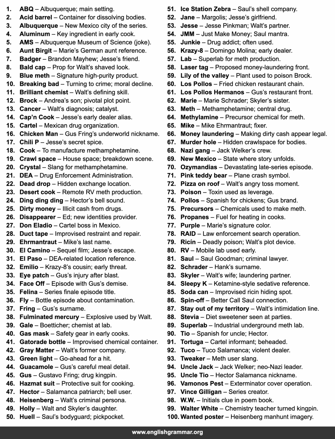 100 Words Every Breaking Bad Fan Should Know