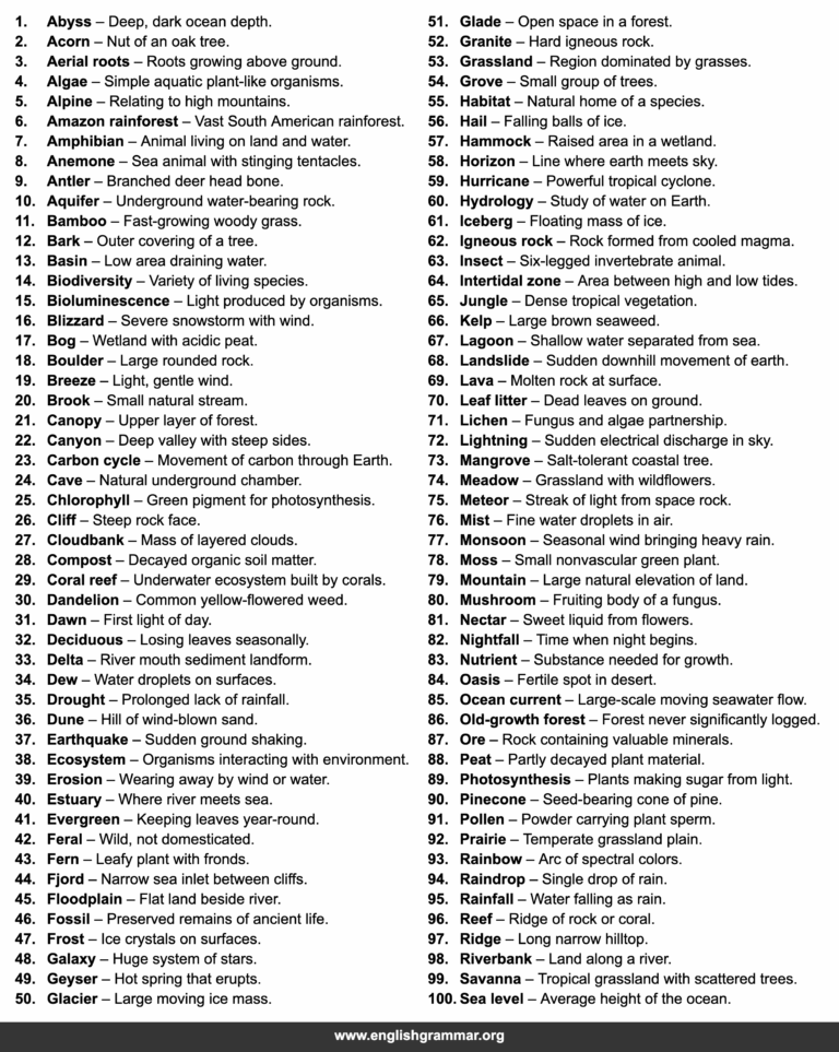 100 Words Related to Nature