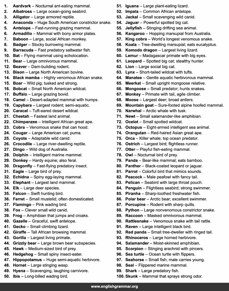 100 Words Related to Wild Animals