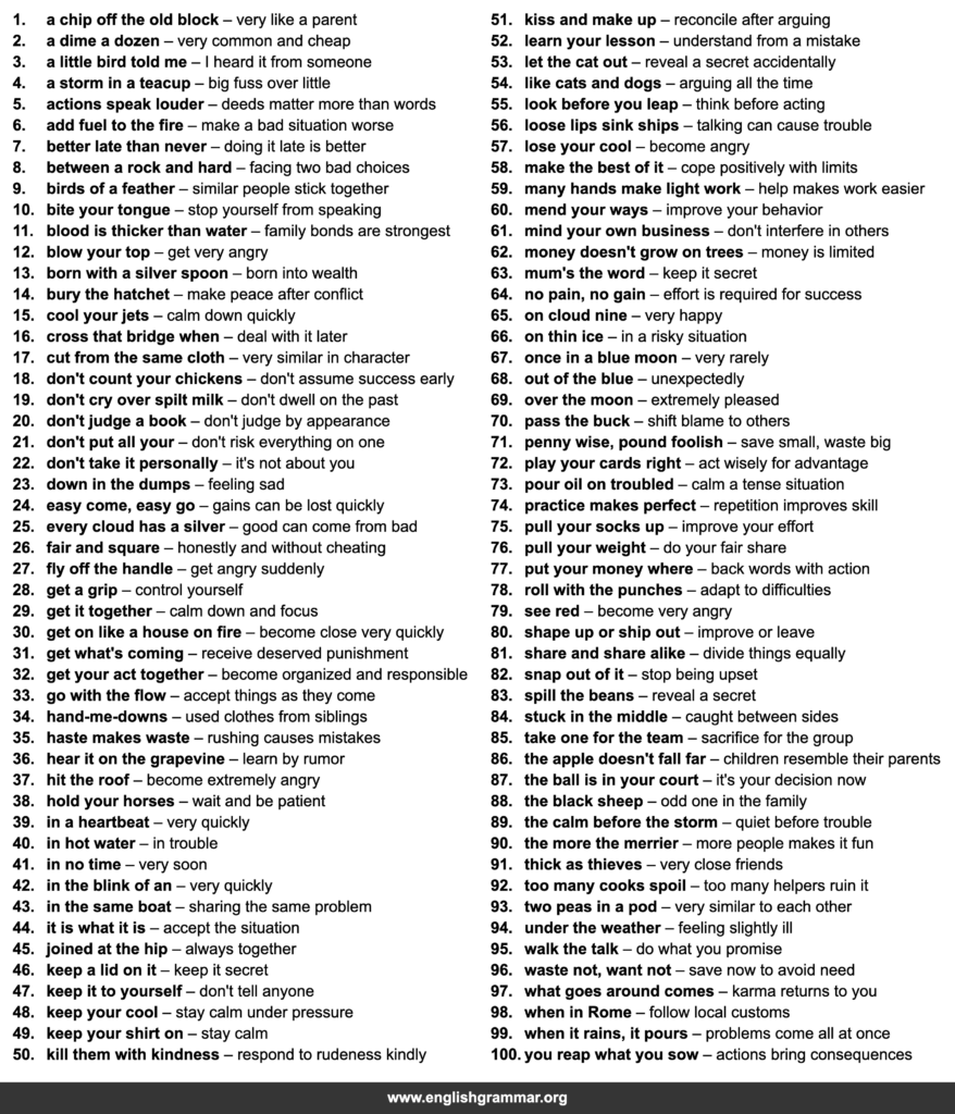 100 Idioms Siblings Grow Up Hearing