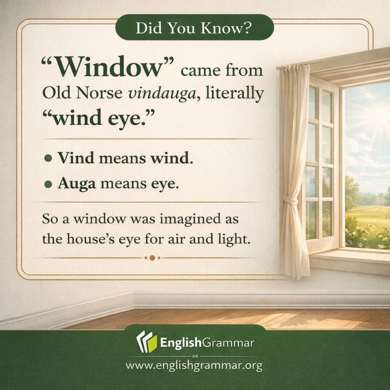 Why window once meant wind eye