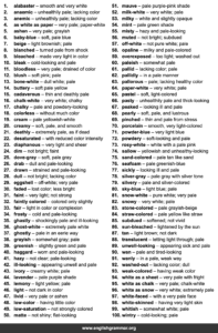 100 Words to Use Instead of “Pale”