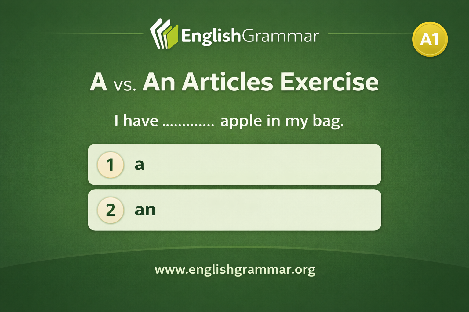 A vs. An Articles Exercise