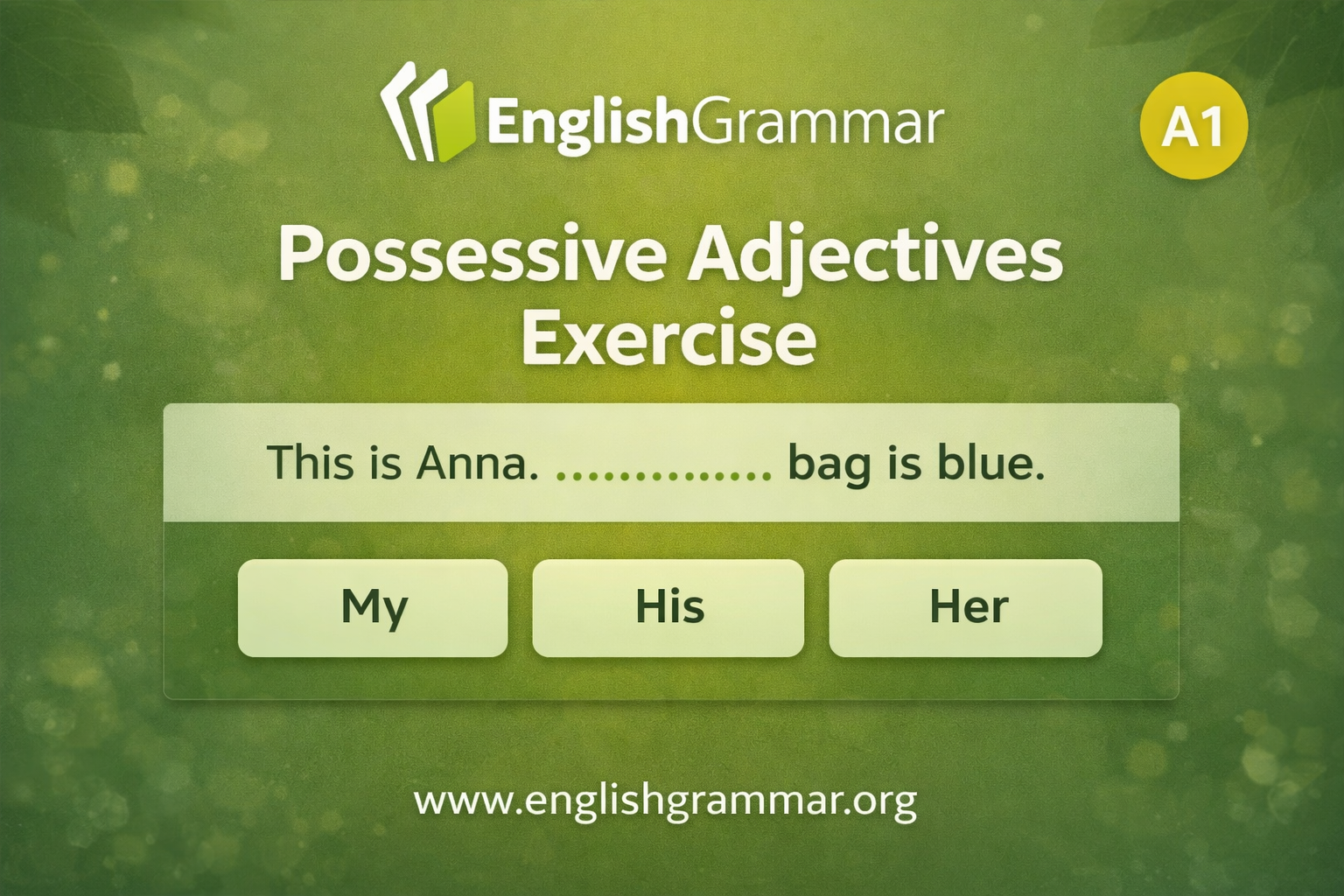 Possessive Adjectives Exercise