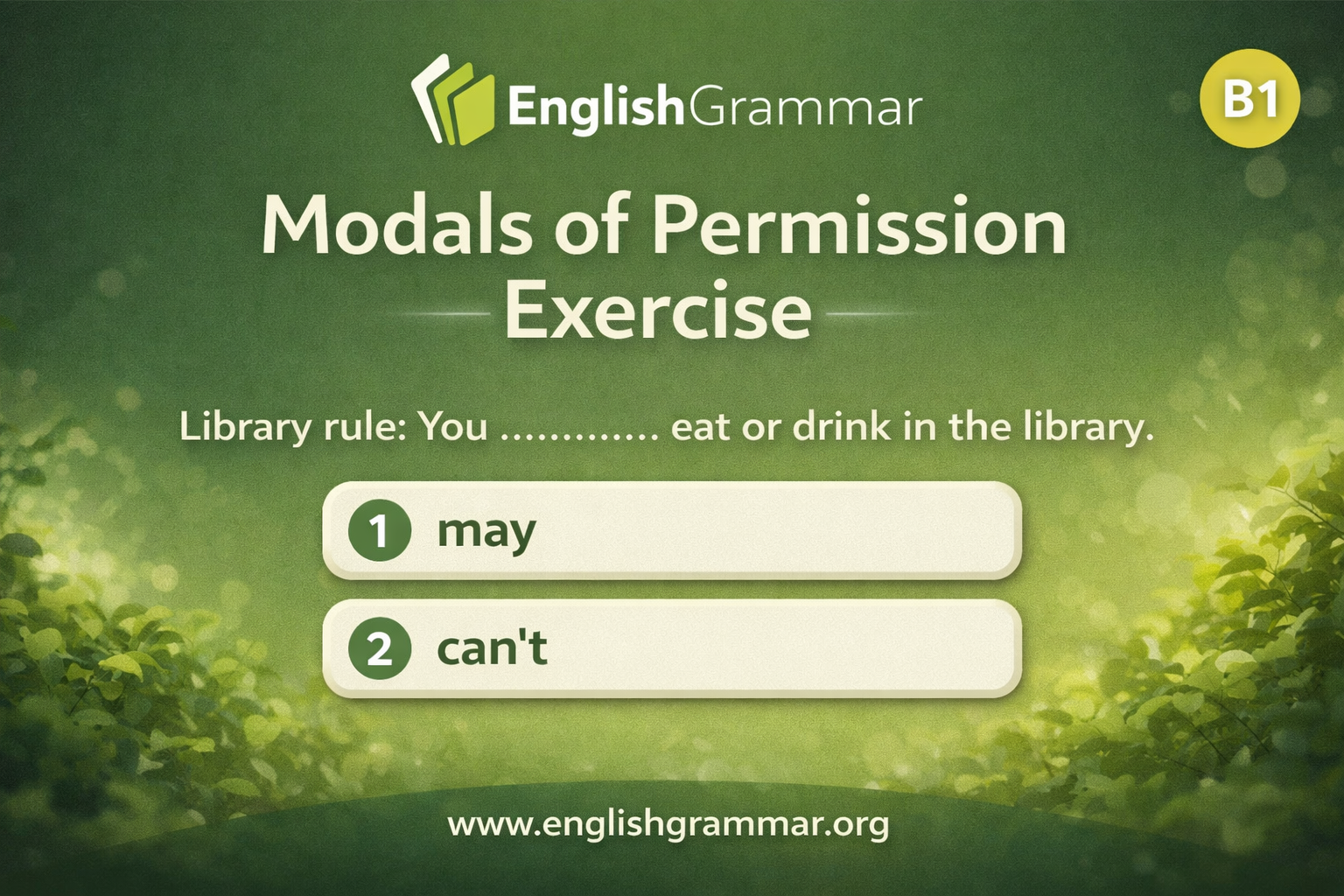Modals of Permission Exercise