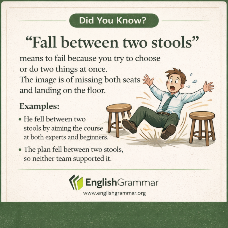 What “fall between two stools” means, and why the image works