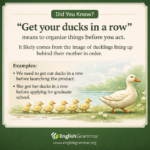 What “get your ducks in a row” means, and where it likely comes from