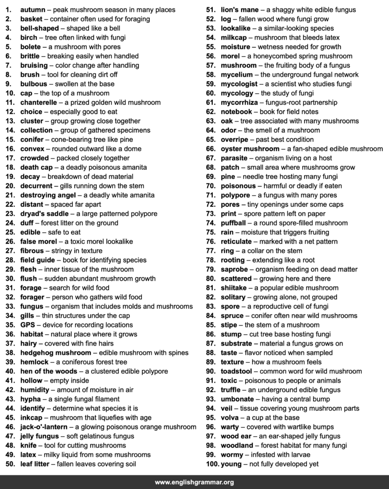 100 Words Every Mushroom Hunter Should Know