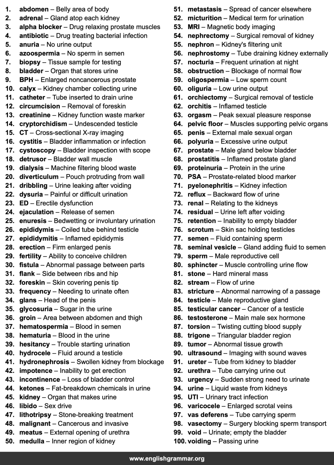 100 Words Every Urologist Should Know