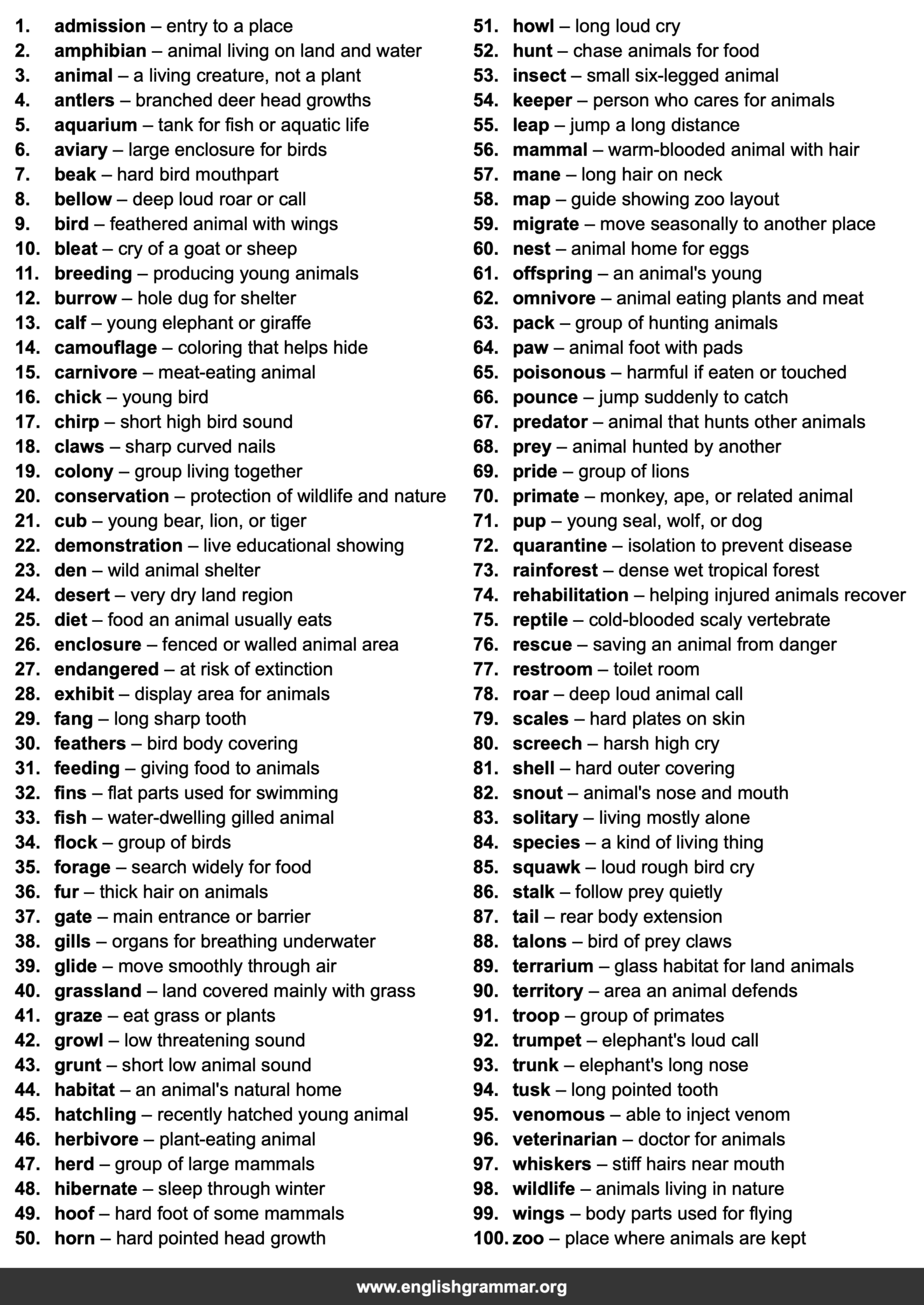 100 Words Every Zoo Visitor Should Know