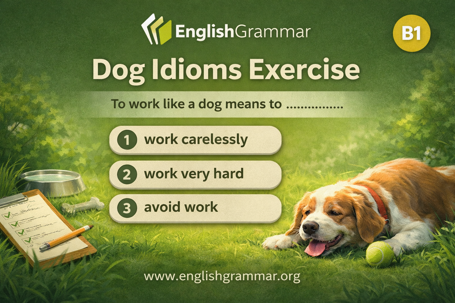 Dog Idioms Exercise