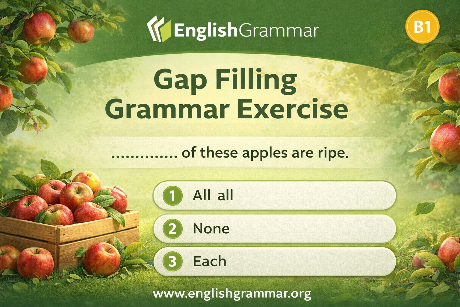 Gap Filling Grammar Exercise