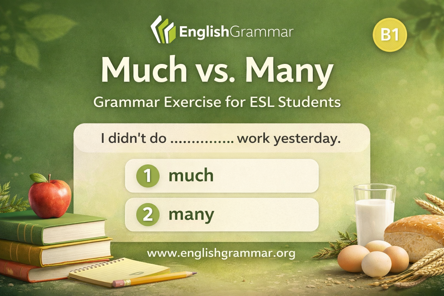 Much vs. Many Grammar Exercise for ESL Students