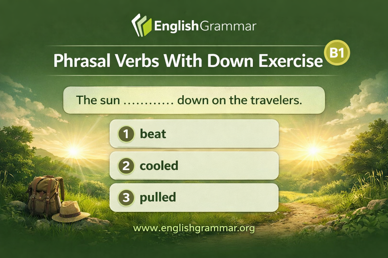 Phrasal Verbs With Down Exercise