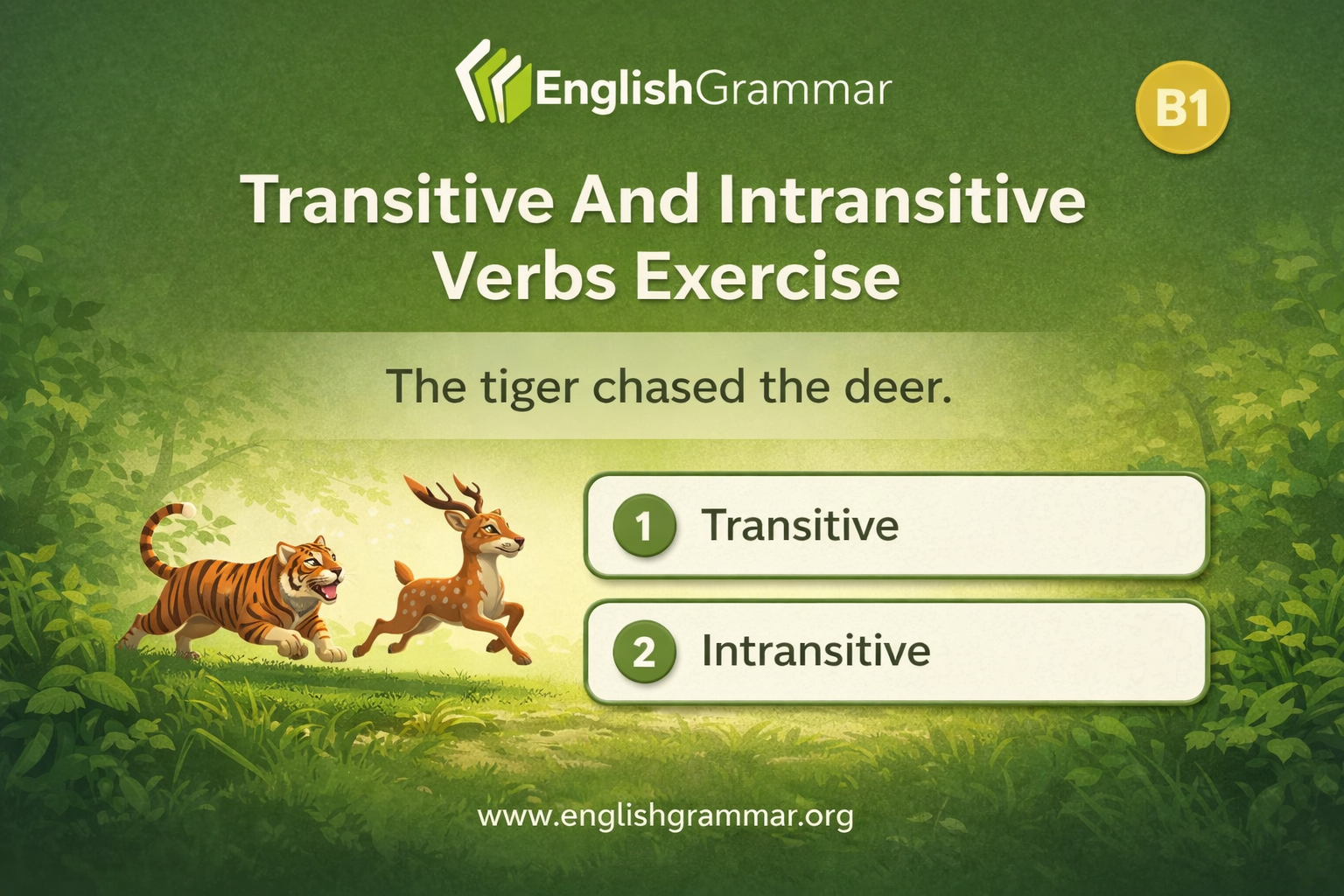 Transitive And Intransitive Verbs Exercise